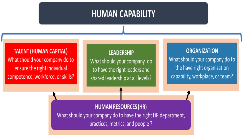 The Next Agenda for Human Capability Improvement and Reporting ...